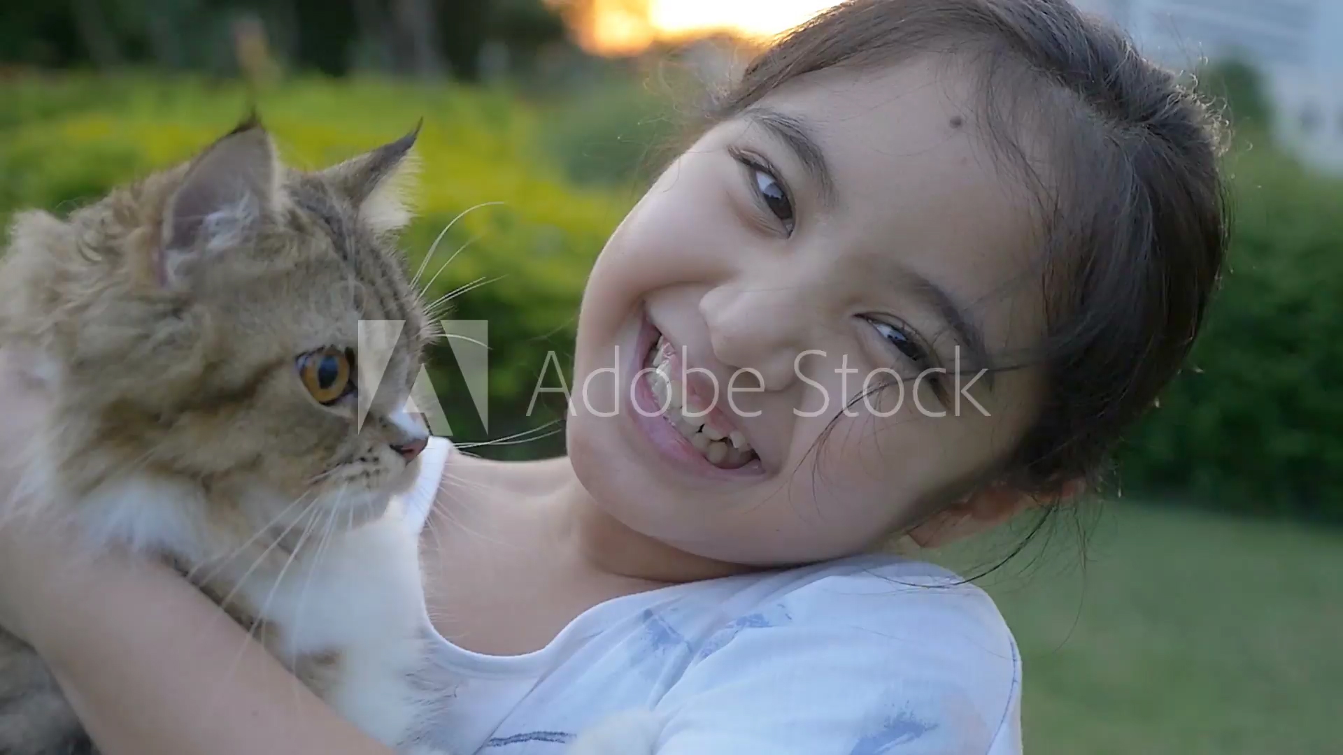 Home - Ark Veterinary Practice